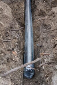 How to Detect and Prevent Tree Roots in Your Sewer Line | Birnie Plumbing